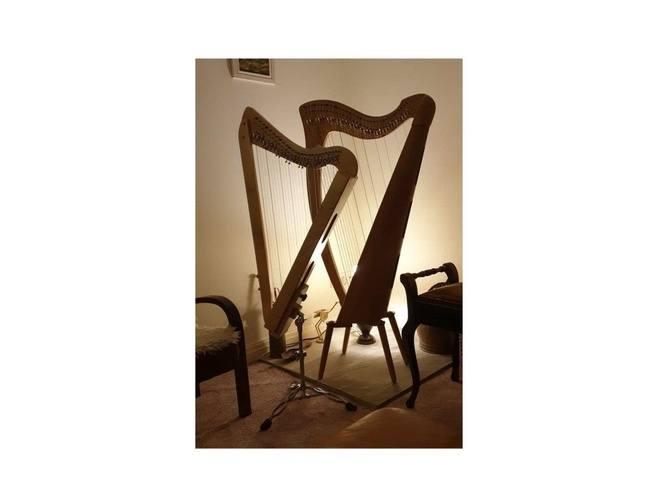 From the Harp by Becky James - Carry Forth Tradition Archives