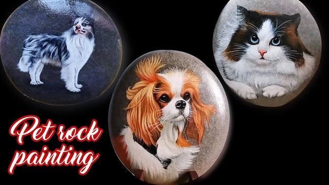 3 best pet rock painting ideas that will catch your attention|Rock ...