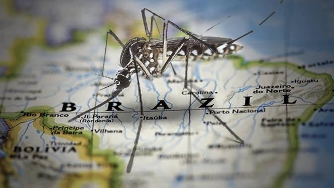 Dengue Cases Surge in Brazil Following Release of Gene-Edited Mosquitos ...