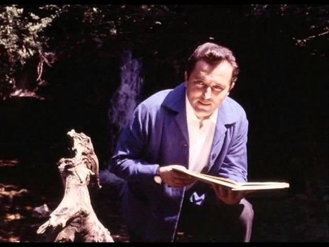 Wunderlich. Dalla sua pace. Don Giovanni.W.A. Mozart. | Videos | Fritz ...