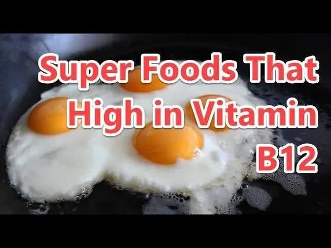 Top 10 Superfoods Rich In Vitamin B12 | Videos | Nutrition Villa | Gan ...